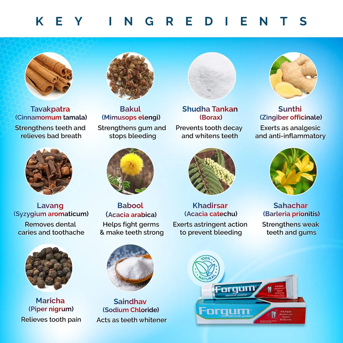 Forgum Dental Paste An Ayurvedic Herbal Product for Tooth pain ...